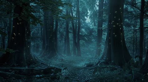 Free Mystical Forest Scene Image Forest Misty Eerie Download At