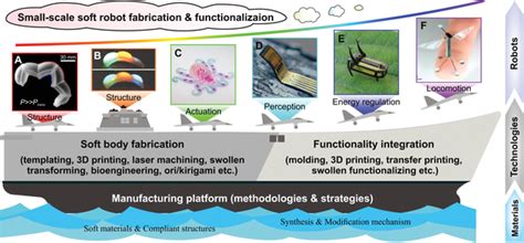 Typical Small‐scale Soft Robots On The Basis Of Soft Actuation Body Download Scientific Diagram
