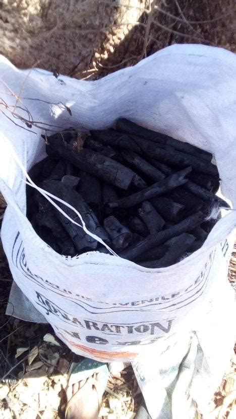 Oling For Sale Pangasinan