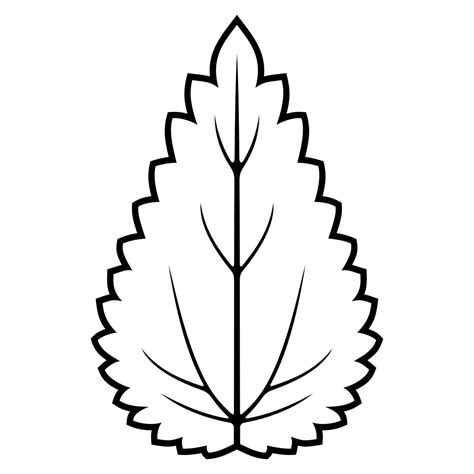 Artychoke Svg Nettle Leaf Design For Crafting And Cutting Machines Shop
