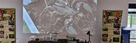Bug Visits To Schools Bugfest