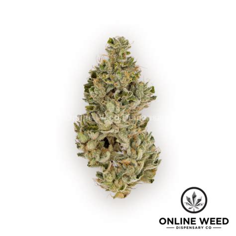 Buy Cbx Cannabiotix Flower 35g Sublime Lime Premium Bud Online Owd