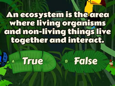 Ecosystem Quiz