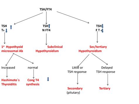 Benign Thyroid Conditionspptx