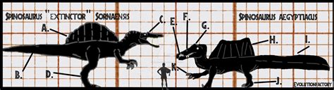 Jurassic Park Spinosaurus Vs S Aegyptiacus By Evolutionfactory On