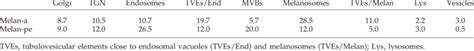 Quantitation Of Tyrosinase Labeling Percentage In Different Download Table