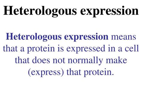 Ppt Heterologous Expression Powerpoint Presentation Free Download Id 2402842
