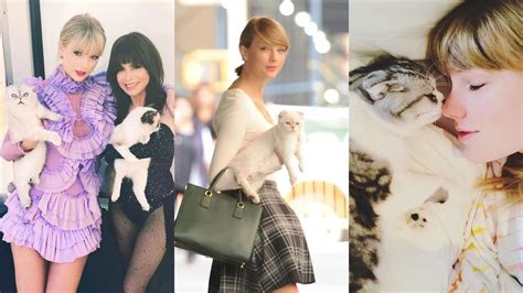 All About Taylor Swifts Cats Olivia Benson Meredith And Benjamin