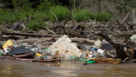 Piling On Debris Blockage Threatens Pearl River The Bogalusa Daily News