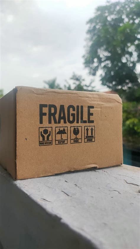 Safety Packing Boxes Keep The Shipment Safe Until It Reaches Its