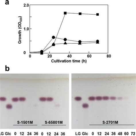 Fungal Fermentation At Separate Hydrolysis And Fermentation Solid Download Scientific Diagram