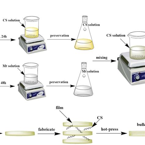 The Self Assembly Process Of The Cs Mt Composite Film Download