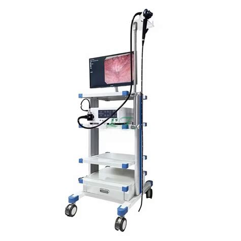 Flexible Endoscopy Machine At ₹ 159999 In New Delhi Id 2855582429888