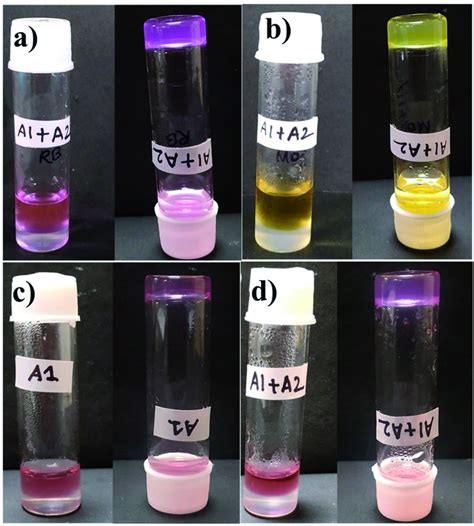 Photograph Of Dye Absorption By Hydrogel A1 A2 1 1 A Rb And