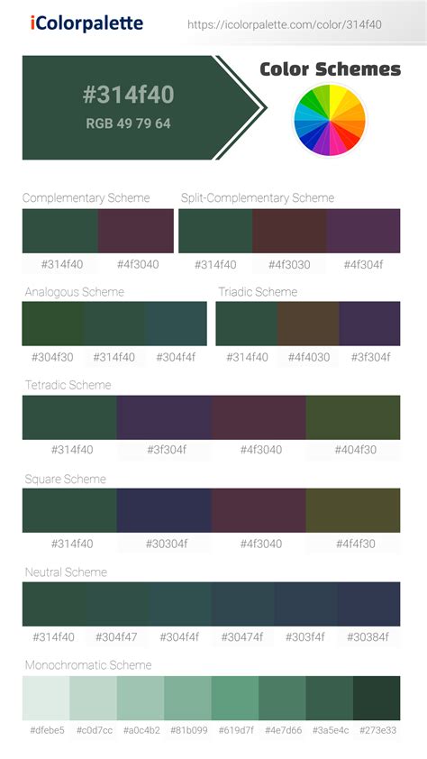 Pantone 19 5513 Tcx Dark Green Color Hex Color Code 314f40