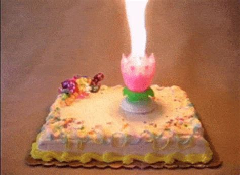 Aniversário Candle  Aniversário Candle Cake Discover And Share