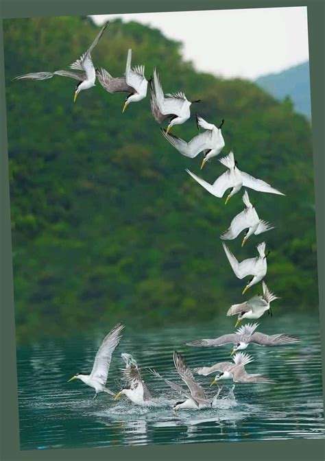 18 Cool Sequence Photography Examples Artofit