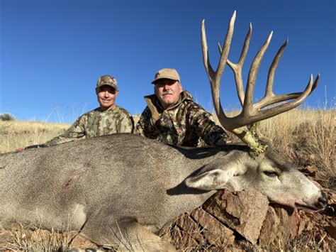 Arizona Guided Mule Deer Hunts Outfitters And Guides Desert Mule Deer