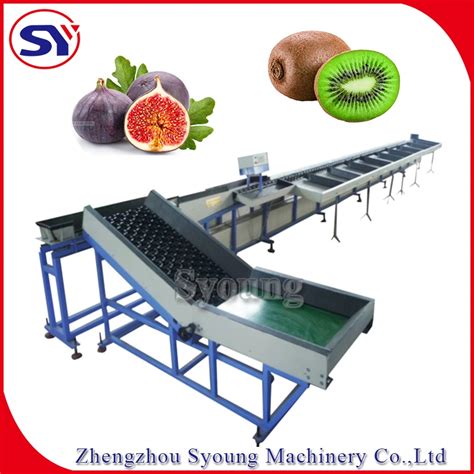 Electronic Fruitandvegetable Sorter Grader Weight Sorting Grading Machine