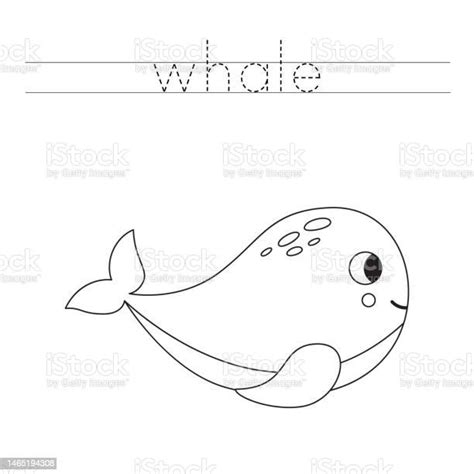 글자를 추적하고 만화 고래를 색칠하십시오 아이들을위한 필기 연습 고래에 대한 스톡 벡터 아트 및 기타 이미지 고래 교육