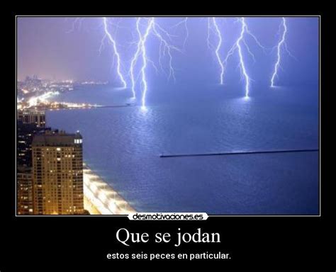 Imágenes Y Carteles De Cogida Desmotivaciones