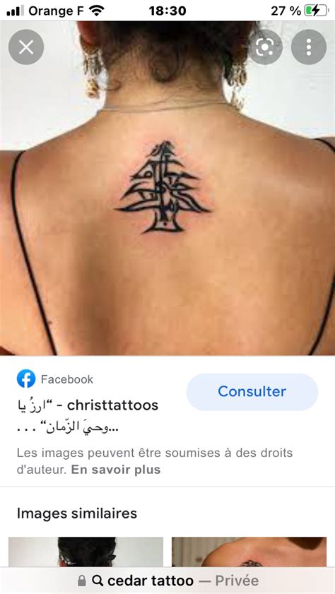 Cèdre Du Liban Tatouage Pins