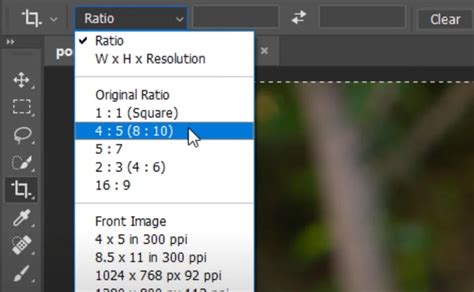 how to use interpolating techniques in image editing its