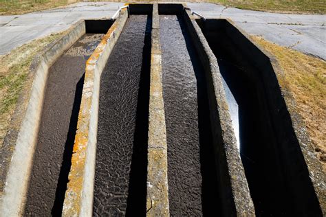 Outrage Erupts Over New Head In The Sand Provision That Could