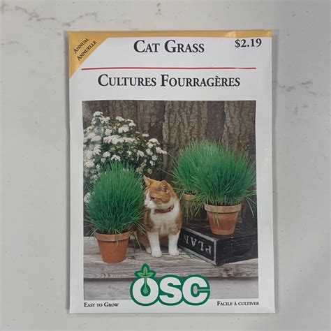 Cat Grass Seed Packets Laportes Nursery And Greenhouses Inc
