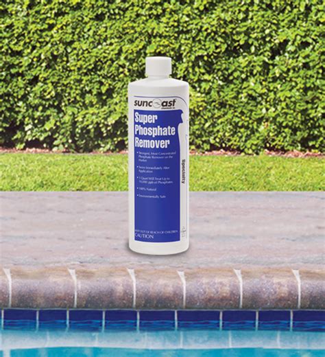 Persistent Algae You May Have A Phosphate Problem