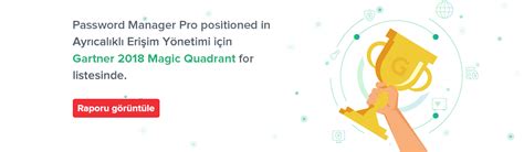 Kurumsal Parola Yönetimi İçin Güvenli Parola Kasası Yazılımı Password