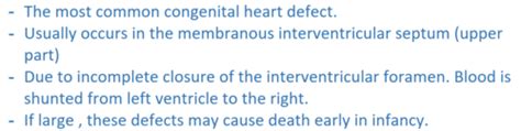 Exam 3 Pathology Embryo Flashcards Quizlet