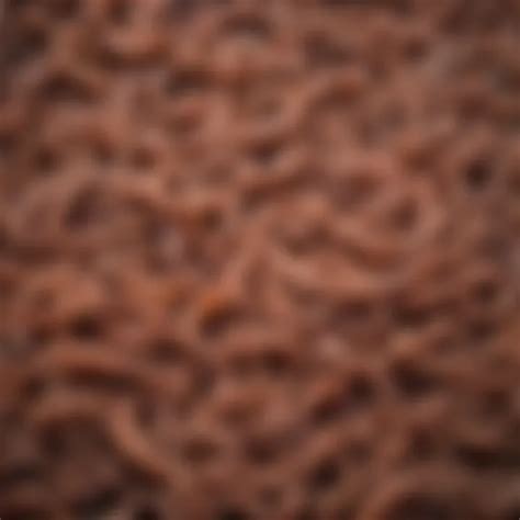 Understanding Fecal Characteristics In Intestinal Worm Infestations