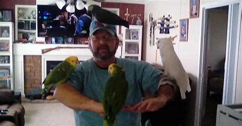 I Present To You The Human Parrot Perch Imgur