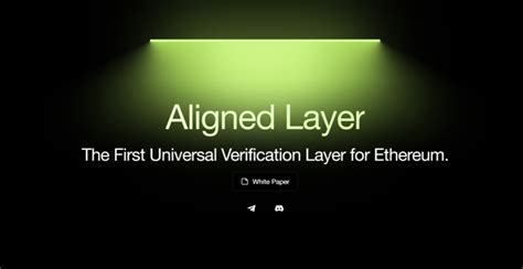 ¿qué es aligned layer blog solow