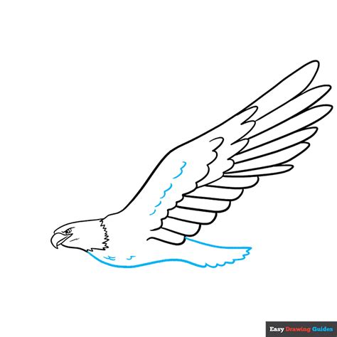 Eagle Drawing Easy How To Draw An Eagle A Majestic Bald Eagle