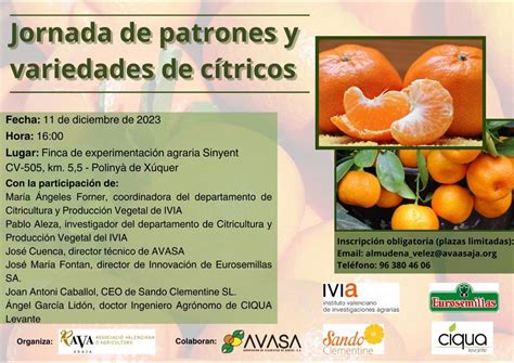 Ayer Ciqua Levante Participó En La Jornada De Patrones Y Variedades De