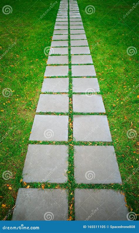 Vertical Concrete Path Surrounded By Green Grass Texture Background Stock Image Cartoondealer