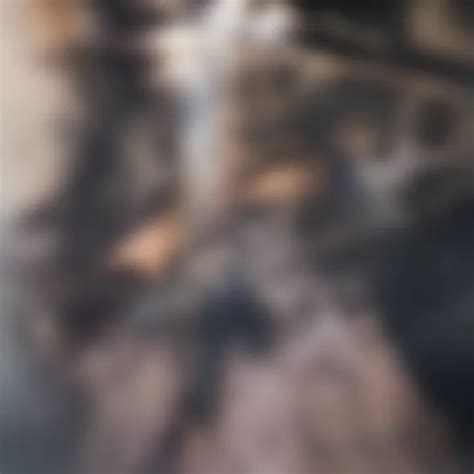 Exploring Nexplanon Visual Insights And Applications