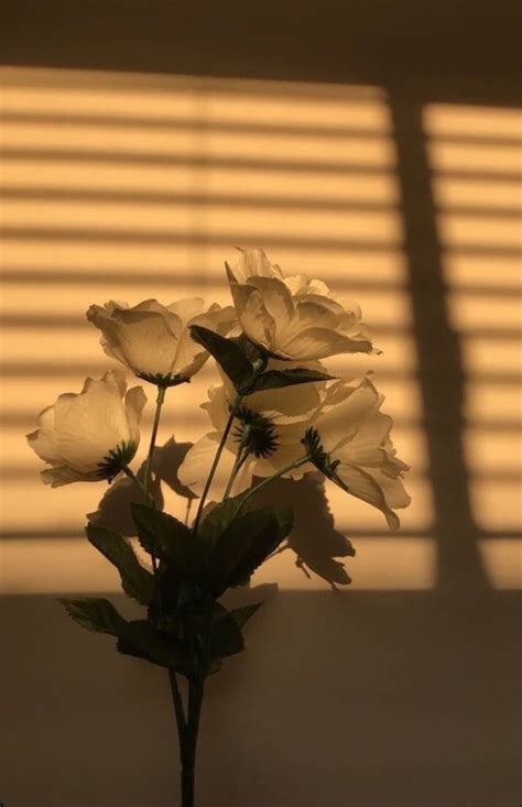 Aesthetic Brown Flowers Wallpapers Wallpaper Cave