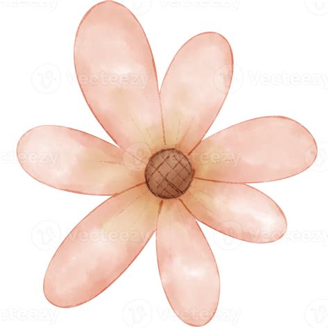 Watercolor Boho Flower 14177740 Png