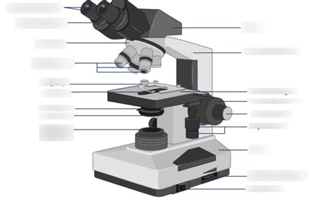 Lab 1 Test Microscope Labeling Diagram Quizlet