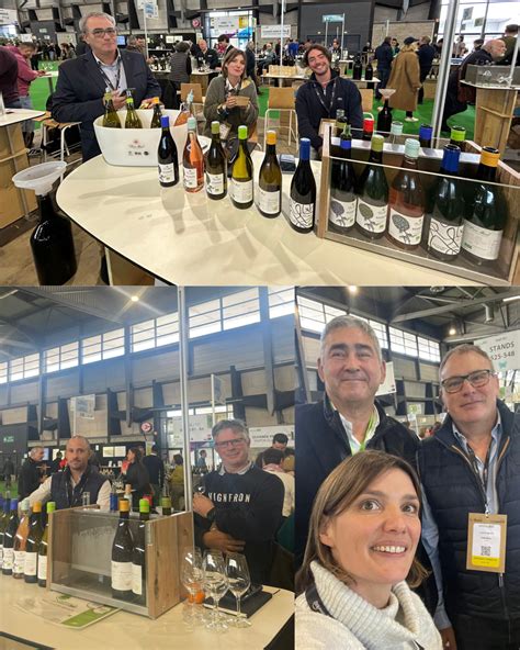 Hinter Den Kulissen Von Dom Brial Rückblick Auf Januar 2025 Dom Brial