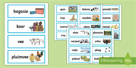 Versamelname Woordkaarte Versamelname Examples Twinkl