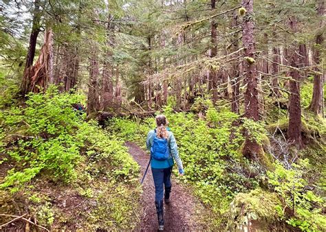 Tongass National Forest Guided Hiking And Wildlife Tour 2025 Sitka