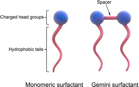 General Structure Of Left Monomeric And Right Gemini Surfactants Download Scientific