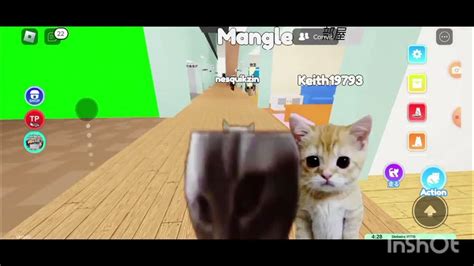 Jogando Pov Dos Gato No Roblox Youtube