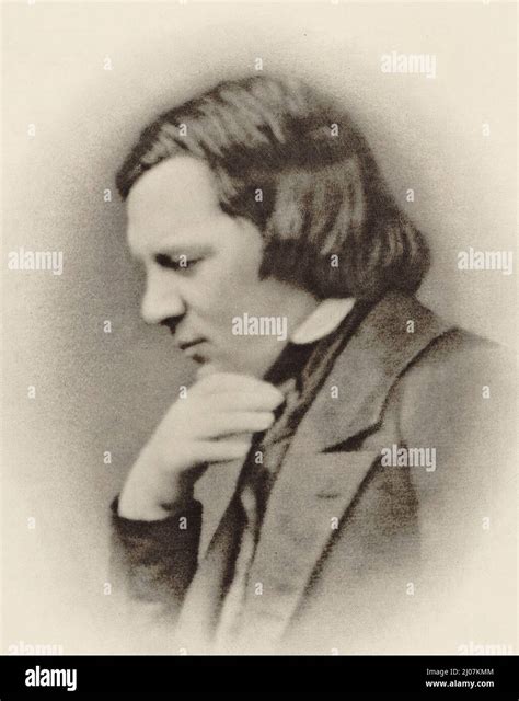 Portrait Of The Composer Robert Schumann 1810 1856 Museum Private Collection Author