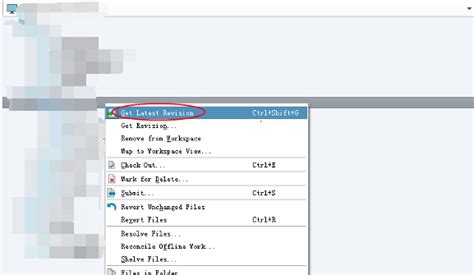 Perforce使用教程 Csdn博客