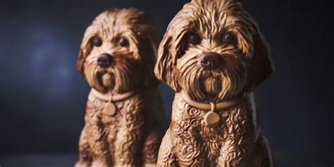 Mands How Could You Supermarket Releases Ralph The Cavapoo Easter Egg Thats Just Too Cute To Eat